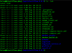 Install Elastiflow Server on Ubuntu 20.04.1 LTS – Locked Dorr Security