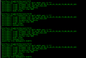 Setting up ProxMox on a Trunk with multiple Interfaces – Locked Dorr Security